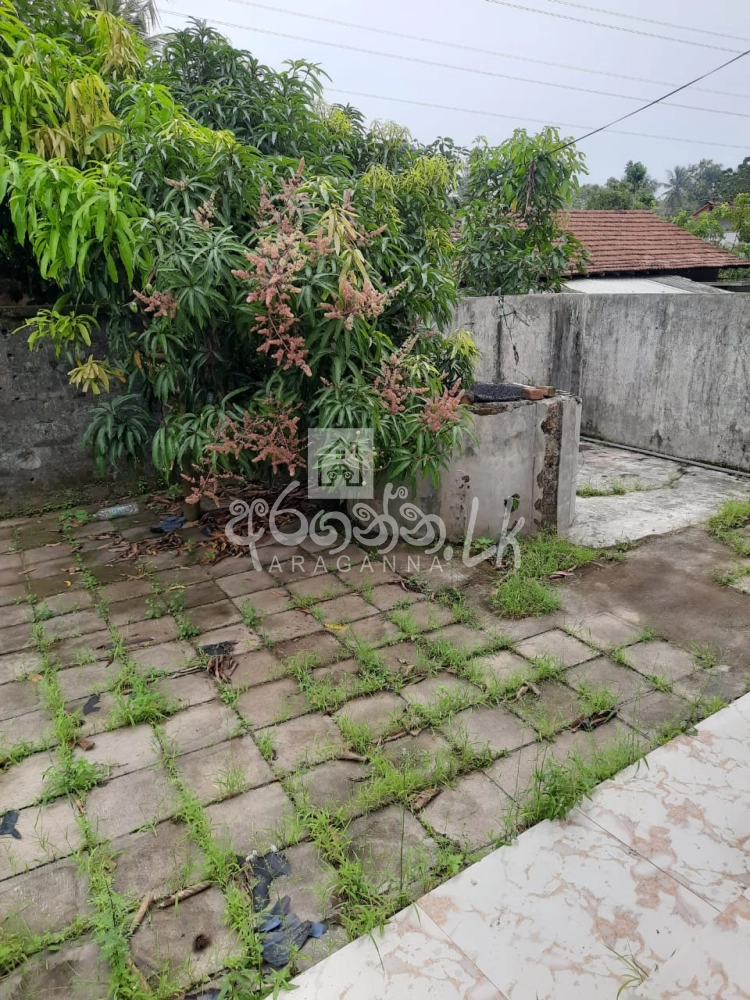 House For Sale in Gampaha | Ekala in Ja - Ela | House, Land, Property ...